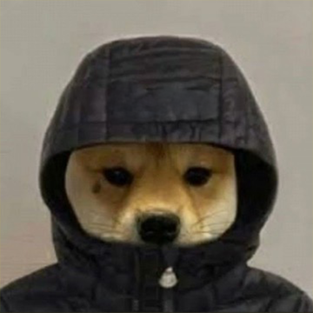 UTOPIA* REFLECTIVE TRACKSUIT – Billionaire Puppy™